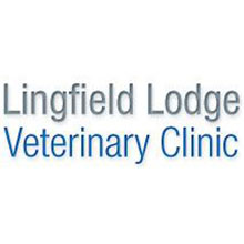 Lingfield Lodge Veterinary Clinic | Vetsure